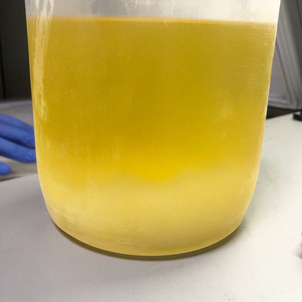 Super Lemon Haze THC Distillate | Concentrate online | Cannabis online