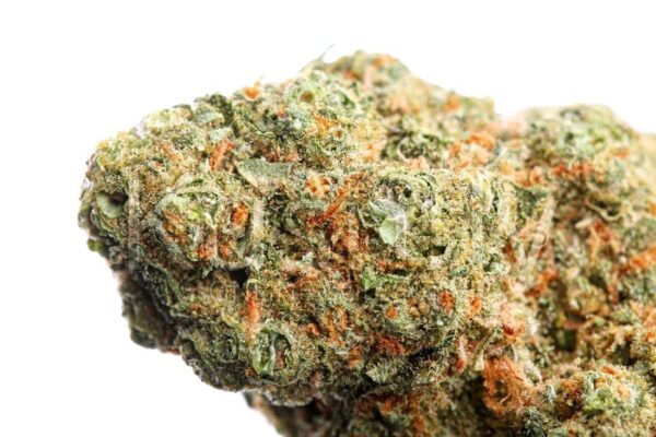 Nova OG is Canadian LP Tweed’s version of Pennywise, an indica
